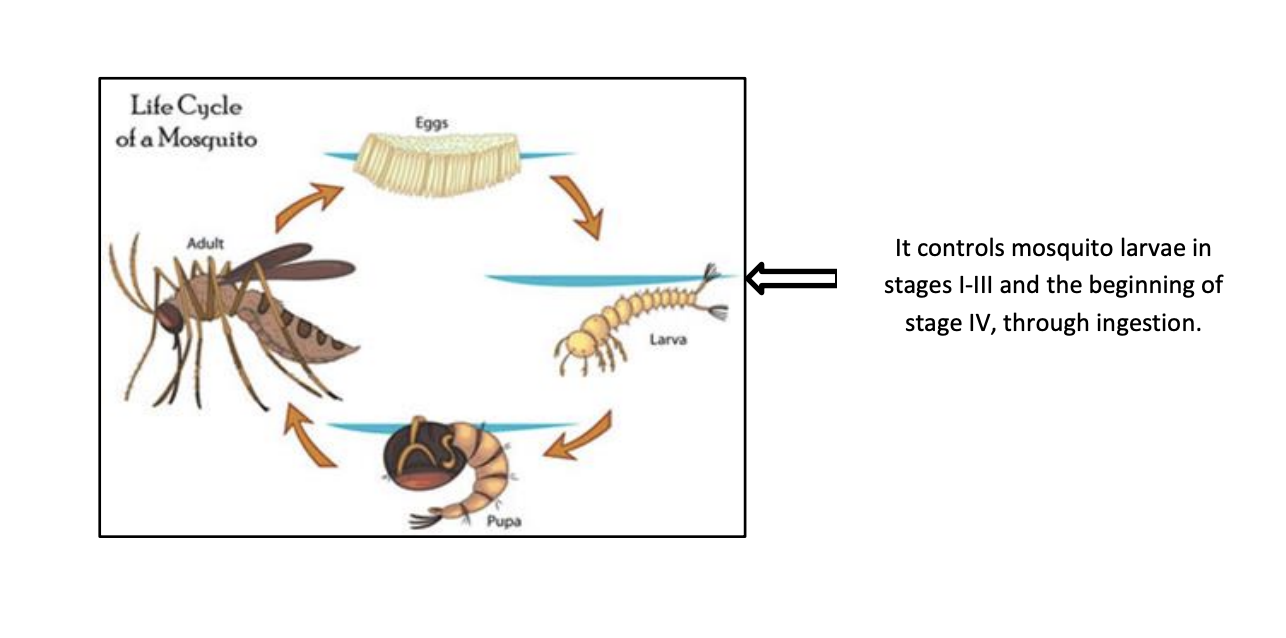 tanzaniabiotech.co.tz